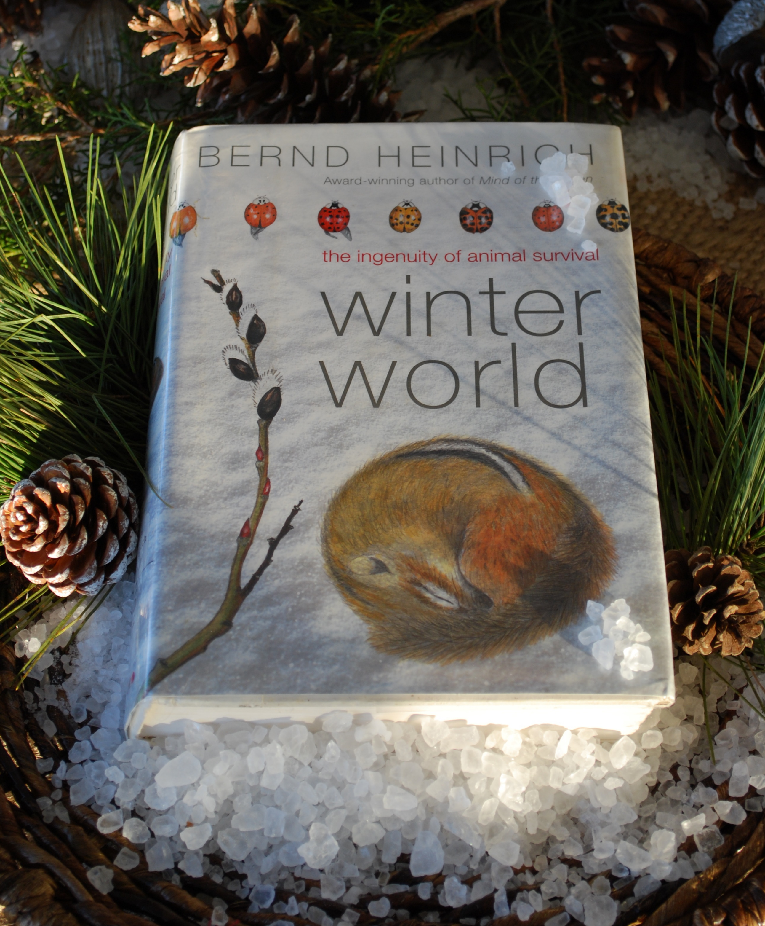 Winter World – Home is Where the Boat Is